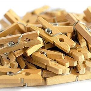 100 Pcs Mini Clothespins, 0.98in (25mm) Natural Wooden Clothespins, Multi-Function Clothespins Paper Photo Pins, Tiny Craft Clips