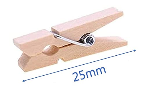 100 Pcs Mini Clothespins, 0.98in (25mm) Natural Wooden Clothespins, Multi-Function Clothespins Paper Photo Pins, Tiny Craft Clips