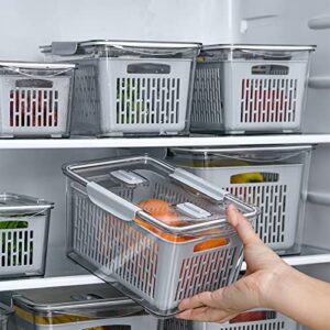 Cedilis 3 Pack Fresh Container, Produce Saver Container for Refrigerator, Vegetable Fruit Storage Container, Fridge Storage Organizer Bins with Divider, Fridge Container Box, Grey（Not Dishwasher Safe)