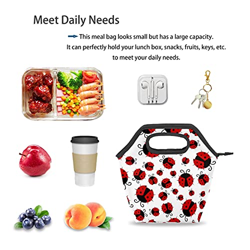 Lunch Bag Cartoon Animal Ladybugs Polka Dot Insulated Lunch Box Bag for Women Kids Children, Reusable Cooler Tote Bag for School Work Picnic Travel