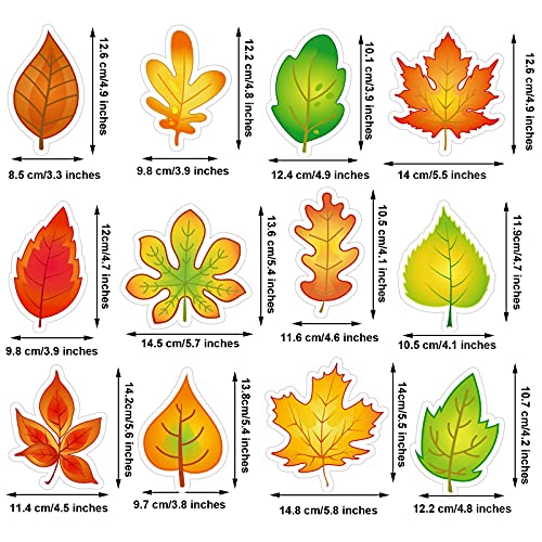 60 Pieces Fall Leaves Accents Cutouts Autumn Thanksgiving Leaf Accents Cutouts Maple Oak Ash Elm Leaf Cutout with Glue Point Dots for Fall Classroom Bulletin Boards Wall Tree Decor (Classic Style)