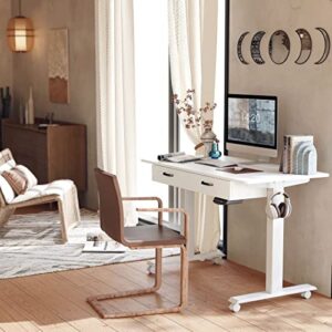 FEZIBO Adjustable Height Electric Standing Desk with Double Drawer, 48 x 24 Inches Stand Up Home Office Desk with Splice Tabletop, White Frame/White Top