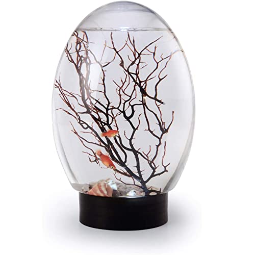 FASSTUREF Mini Ecological Fish Tank, Closed Aquatic Ecosphere, with LED Base Desktop Fish Tank, No Need to Change Water, No Need to Feed