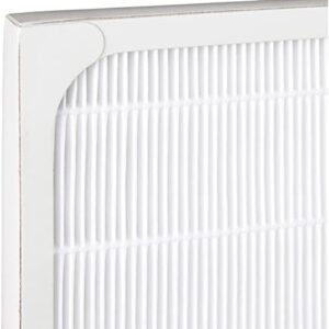 SPT 3000FA: HEPA Filter for AC-3000/AC-3000i