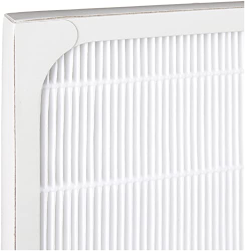 SPT 3000FA: HEPA Filter for AC-3000/AC-3000i