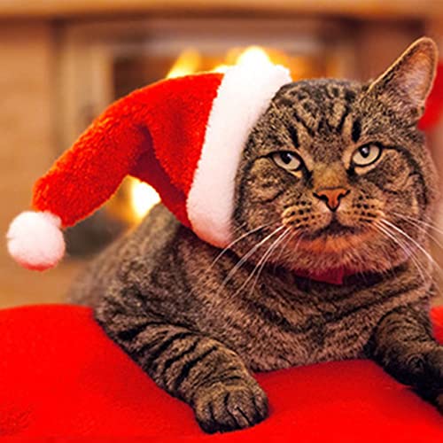 Red Christmas Hat Cat Santa Hat Pet Christmas Costume Puppy Dog Cat Santa Hat with Adjustable Elastic Chin Strap - Christmas Hat