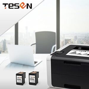 TESEN 65XL Remanufactured 65XL Ink Cartridge Replacement for HP 65XL 65 XL for use in HP Envy 5055 5020 5030 5012 DeskJet 3755 2622 2635 3720 3730 5025 AMP 100 105 130 (2 Black Combo)