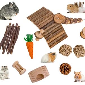 Neakomuki Hamster Toys 11 Pack Guinea Pig Toy for Teeth Care Natural Wooden Hamster Chew Toys and Accessories for Syrian Dwarf Hamster Squirrels Rats Chinchillas Parrots Gerbils Bunnies