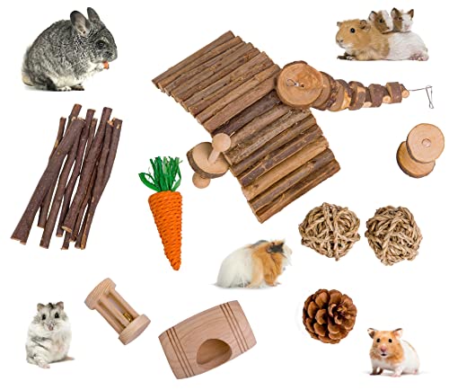 Neakomuki Hamster Toys 11 Pack Guinea Pig Toy for Teeth Care Natural Wooden Hamster Chew Toys and Accessories for Syrian Dwarf Hamster Squirrels Rats Chinchillas Parrots Gerbils Bunnies