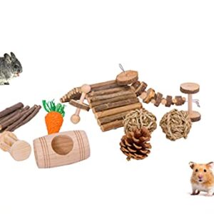 Neakomuki Hamster Toys 11 Pack Guinea Pig Toy for Teeth Care Natural Wooden Hamster Chew Toys and Accessories for Syrian Dwarf Hamster Squirrels Rats Chinchillas Parrots Gerbils Bunnies