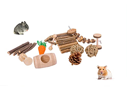 Neakomuki Hamster Toys 11 Pack Guinea Pig Toy for Teeth Care Natural Wooden Hamster Chew Toys and Accessories for Syrian Dwarf Hamster Squirrels Rats Chinchillas Parrots Gerbils Bunnies