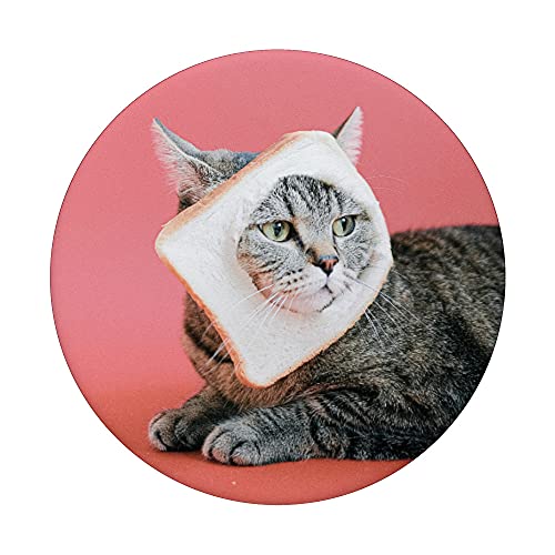 Silly Cat With Slice Of Bread On Face | Funny Cat Lovers PopSockets Swappable PopGrip