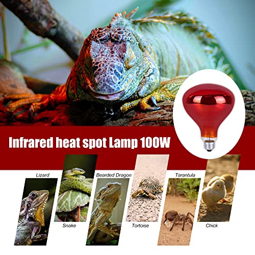 Wesome Lighting Reptile Heat Lamp Bulb, 100 Watts Infrared Basking Spot Light for Reptiles,Amphibian and Glass Terrarium, 1 Pack