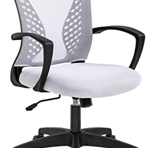 FLL Desk Chair Office Chair Swivel Computer Chair Executive Chair with Lumbar Support Armrests Adjustable Seat Height,Mesh Computer Chair Rolling Swivel Chair for Home Office Conference Room(White)