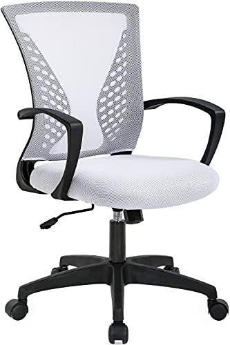 FLL Desk Chair Office Chair Swivel Computer Chair Executive Chair with Lumbar Support Armrests Adjustable Seat Height,Mesh Computer Chair Rolling Swivel Chair for Home Office Conference Room(White)