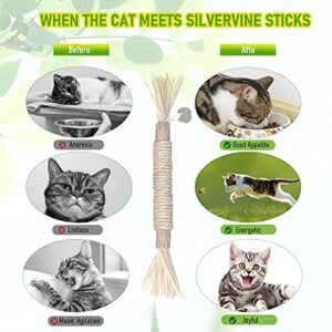 BAWAN Catnip Toys‖ Silvervine for Cats: Cute Cat & Kitten Toys for Indoor Cats Interactive‖ Cat & Kitten Teething Chew Toys for Aggressive Chewers‖ Silvervine Sticks Cat Dental Toy (3PCS)