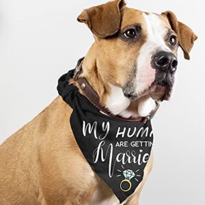 My Humans are Getting Married She Said Yes Dog Bandana, Wedding Engagement Photos, Pet Scarf Accessories,Pet Accessories for Dog Lovers, Bridal Shower Gift, Pack of 2