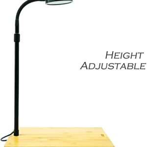 HIRO AQUATICS Height Adjustable Full Spectrum Nano LED Light, fits Nano Tanks, Wabi kusa, Potted Plants, Betta Tanks(9W)