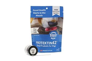 teef! daily dental care - natural dog dental water additive, 6 month supply - award winning protektin42 formula, tartar and plaque remover - no brushing, add to water bowl for healthier gums