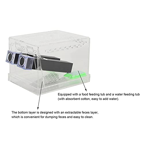 Cricket Keeper Tank Box, Cricket Care Kit Durable and Sturdy Equipped with Water/Food Feeding Tub for Office for Home(L)