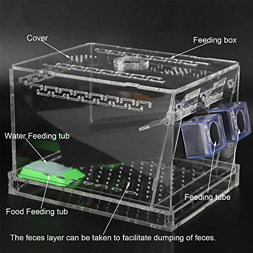 Cricket Keeper Tank Box, Cricket Care Kit Durable and Sturdy Equipped with Water/Food Feeding Tub for Office for Home(L)