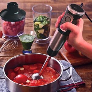 Immersion Hand Blender, 5-in-1 Stick Blender with 300ml Food Grinder, BPA-Free, 600ml Container,Milk Frother,Egg Whisk ,Puree Infant Food, Smoothies, Sauces and Soups - White