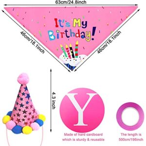 Dog Birthday Party Supplies,Dog Birthday Bandana Hat Set,Puppy 1st Birthday Outfit with a Number,Happy Birthday Banner,Triangle Scarf,Paw Print Balloon,Cute Bowtie for Pet Boy/Girl Party Accessories