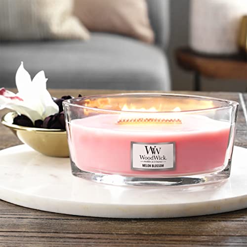 WoodWick Ellipse Scented Candle, Melon Blossom, 16oz | Up to 50 Hours Burn Time