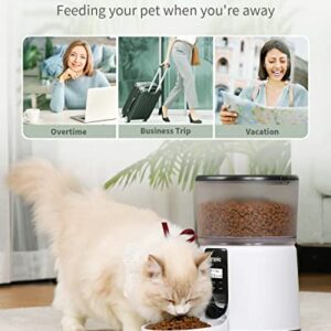 Automatic Cat Feeder, Arspic 4L Auto Cat Food Dispenser with Programmable Timer Feeder and Portion Control Automatic Pet Food Feeder for Small & Medium Cats Dogs with Desiccant Bag & Voice Recorder