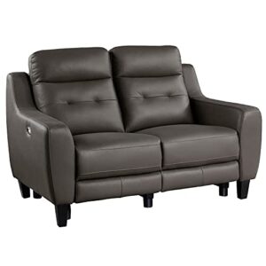 lexicon schuyler power double reclining loveseat, grayish brown