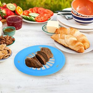 Hemoton 12pcs Barbecue Plates Non- Stick Grill Plate Platic Dinner Plate Hollow- out BBQ Paper Plate Holder BBQ Supplies Blue