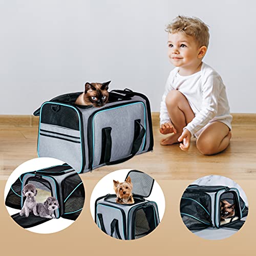 Cat Dog Carrier - Airline Approved Expandable Soft-Sided Pet Carrier with Removable Fleece Pad and Pockets, for Cats/Puppy and Small Animals