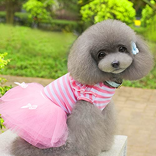 Dog Dress Small Dog Clothes - Dog Clothes for Small Dogs Striped Mesh Puppy Clothes Dog Dresses Chihuahua Clothes Designer Dog Clothes Yorkie Clothes Princess Comfortable (Pink, Medium)