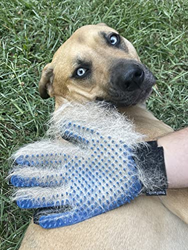 Pet grooming glove gentle deshedding brush (One size)