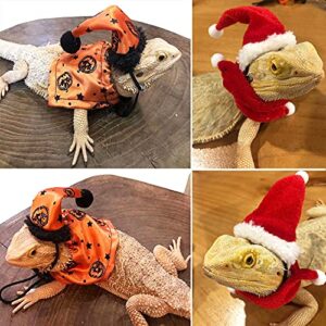 ADOGGYGO Bearded Dragon Halloween Hat Cloak Lizard Christmas Hat Scarf Set, Small Animal Halloween Christmas Festival Costume