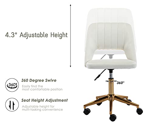 ZHENGHAO ZH4YOU Modern Armless Desk Chair Vanity Stool for Teen Girls, Hollow Back Task Chair Study Chair Sewing Chair with Gold Base for Home OfficeBedroomLiving Room (White)