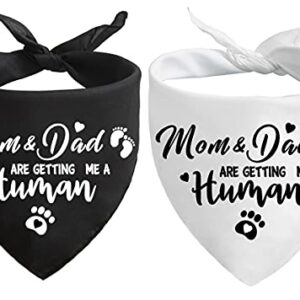 Mom&Dad are Getting me a Human, Gender Reveal Photo Prop Pet Scarf Decorations Accessories Dog Bandana, Pet Accessories for Dog Lovers, Pack of 2