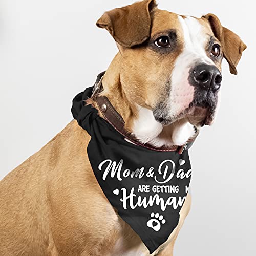 Mom&Dad are Getting me a Human, Gender Reveal Photo Prop Pet Scarf Decorations Accessories Dog Bandana, Pet Accessories for Dog Lovers, Pack of 2