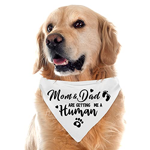 Mom&Dad are Getting me a Human, Gender Reveal Photo Prop Pet Scarf Decorations Accessories Dog Bandana, Pet Accessories for Dog Lovers, Pack of 2