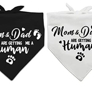 Mom&Dad are Getting me a Human, Gender Reveal Photo Prop Pet Scarf Decorations Accessories Dog Bandana, Pet Accessories for Dog Lovers, Pack of 2