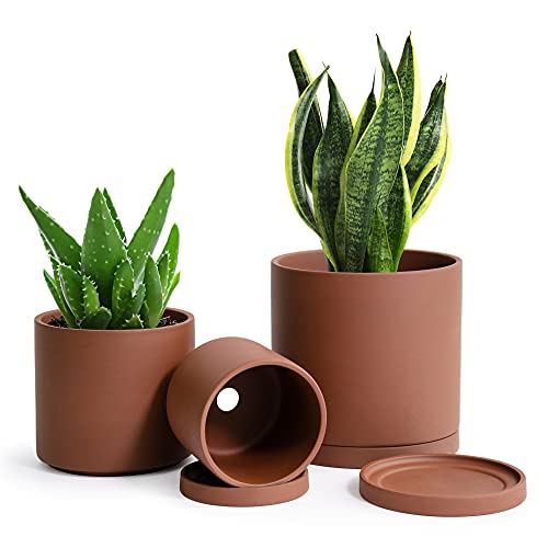 D'vine Dev Rust Terracotta Pots, Set of 3, Clay Planters for Indoor Plants, Succulent Planter Pot with Drainage Hole and Saucer, 4.2 Inch 5.3 Inch 6.5 Inch, 40-A-T-0