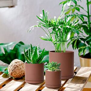 D'vine Dev Rust Terracotta Pots, Set of 3, Clay Planters for Indoor Plants, Succulent Planter Pot with Drainage Hole and Saucer, 4.2 Inch 5.3 Inch 6.5 Inch, 40-A-T-0