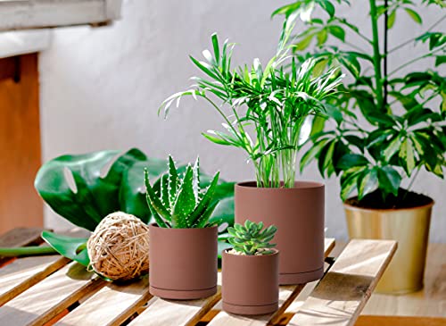 D'vine Dev Rust Terracotta Pots, Set of 3, Clay Planters for Indoor Plants, Succulent Planter Pot with Drainage Hole and Saucer, 4.2 Inch 5.3 Inch 6.5 Inch, 40-A-T-0