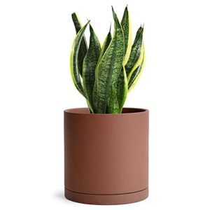 D'vine Dev Rust Terracotta Pots, Set of 3, Clay Planters for Indoor Plants, Succulent Planter Pot with Drainage Hole and Saucer, 4.2 Inch 5.3 Inch 6.5 Inch, 40-A-T-0