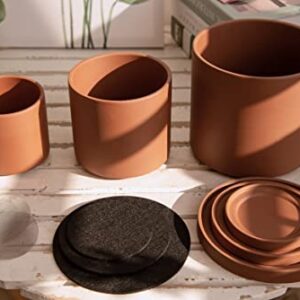 D'vine Dev Rust Terracotta Pots, Set of 3, Clay Planters for Indoor Plants, Succulent Planter Pot with Drainage Hole and Saucer, 4.2 Inch 5.3 Inch 6.5 Inch, 40-A-T-0