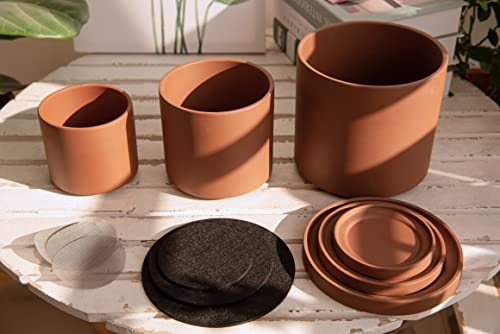 D'vine Dev Rust Terracotta Pots, Set of 3, Clay Planters for Indoor Plants, Succulent Planter Pot with Drainage Hole and Saucer, 4.2 Inch 5.3 Inch 6.5 Inch, 40-A-T-0