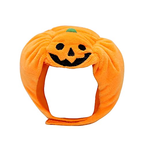 yolsun Cat Halloween Pumpkin Costume Puppy Kitten Pumpkin Hat Headdress for Halloween Cosplay Dress Up