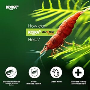 V-Active Plus Specialized Probiotics for Ornamental Shrimp by KOIKA | Environmental Improvement & Boost Immune System, Increase Fertility for Ornamental Shrimp(V-Active Plus, 3.55 fl oz/ 105ml)