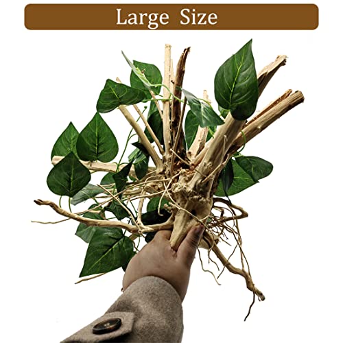 Hamiledyi Reptile Driftwood Large Climbing Branches Amphibian Trunk Log Ornament Aquarium Natural Driftwood Decoration for Lizard Gecok Snake Bearded Dragon Frog Iguana Chameleon