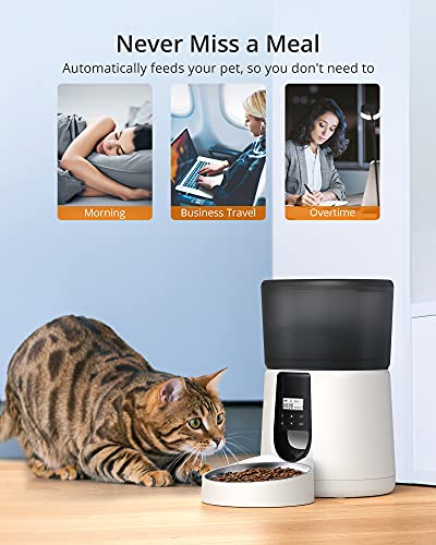 LLSS Automatic Cat Feeder, 4L Food Dispenser, Timed Feeder with Detachable Stainless Steel Bowl, Dry Dispenser for & Dog, Programmable Meal Portion, 1-4 Meals per Day, Auto Pet Black, White